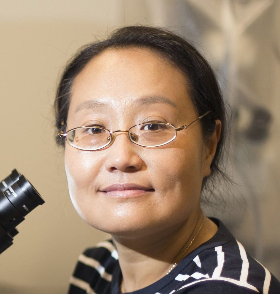 Seunghyi Kook, PhD | Choi Lab | Vanderbilt University