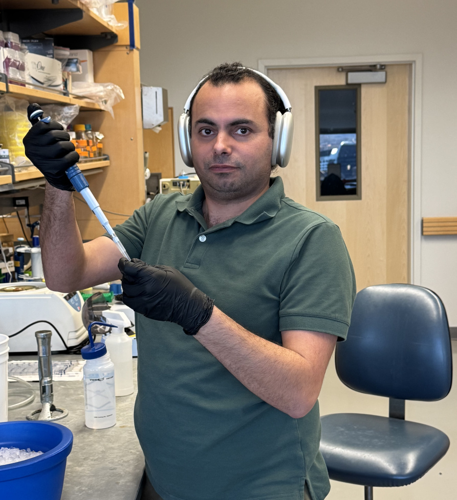 Hamada Saad | Mitchell Lab | Vanderbilt University