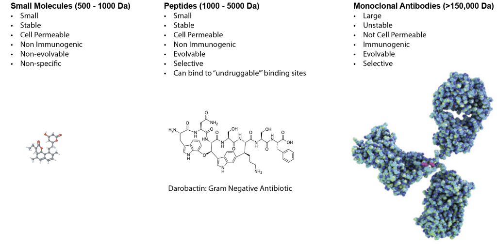 Directed Evolution of Drugs: RiPP Display | Mitchell Lab | Vanderbilt ...
