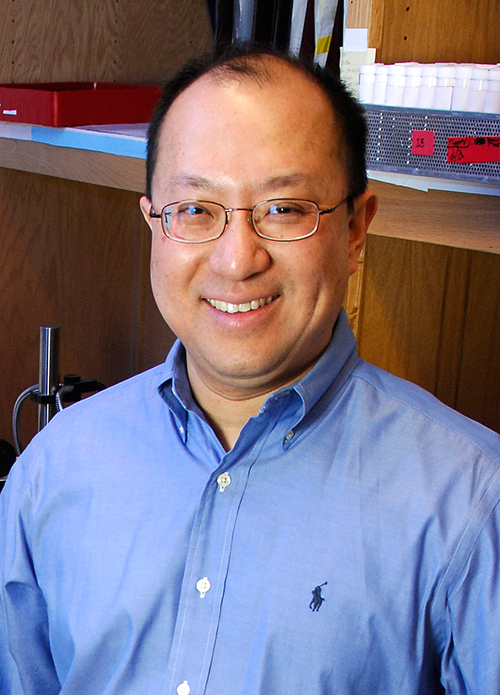 Ethan Lee, M.D., Ph.D. | Program in Cancer Biology | Vanderbilt University