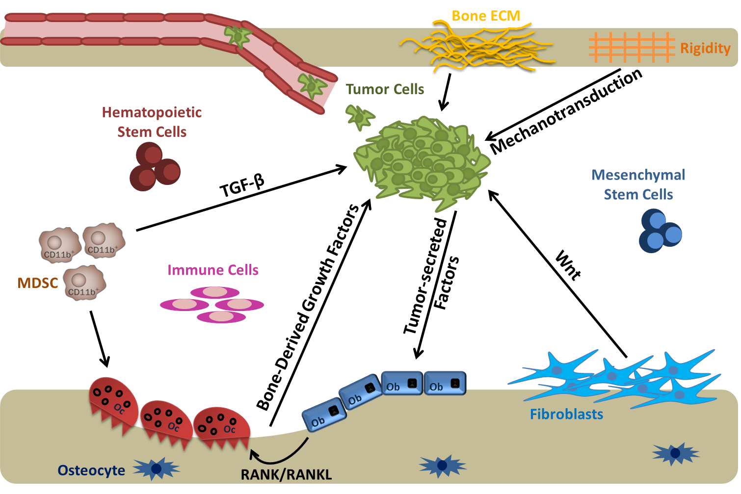 Julie Rhoades (Sterling) | Interdisciplinary Graduate Program ...