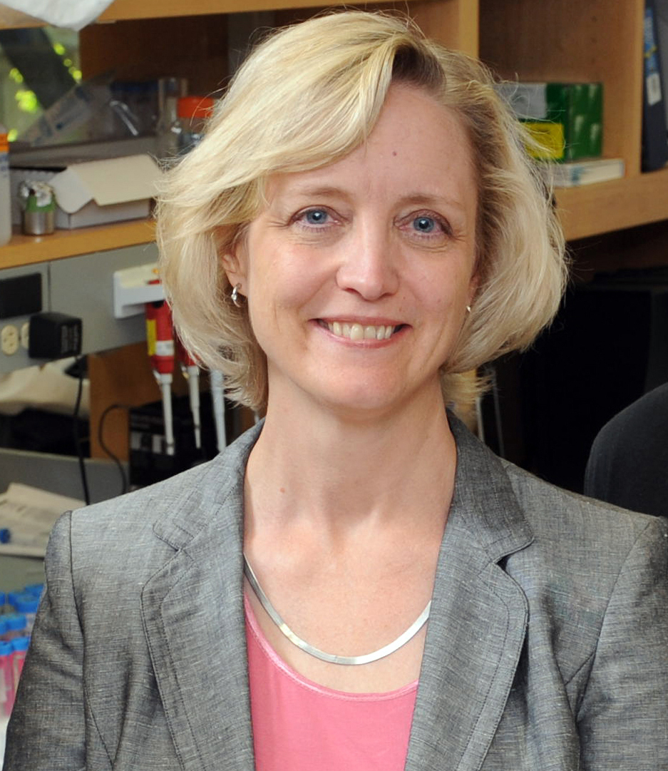 Susan Wente, Ph.D. | Program in Developmental Biology | Vanderbilt ...