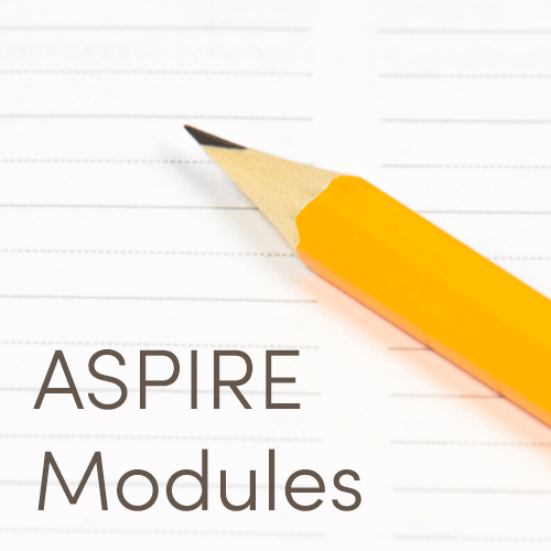 ASPIRE Modules | BRET Career Development ASPIRE Program | Vanderbilt ...