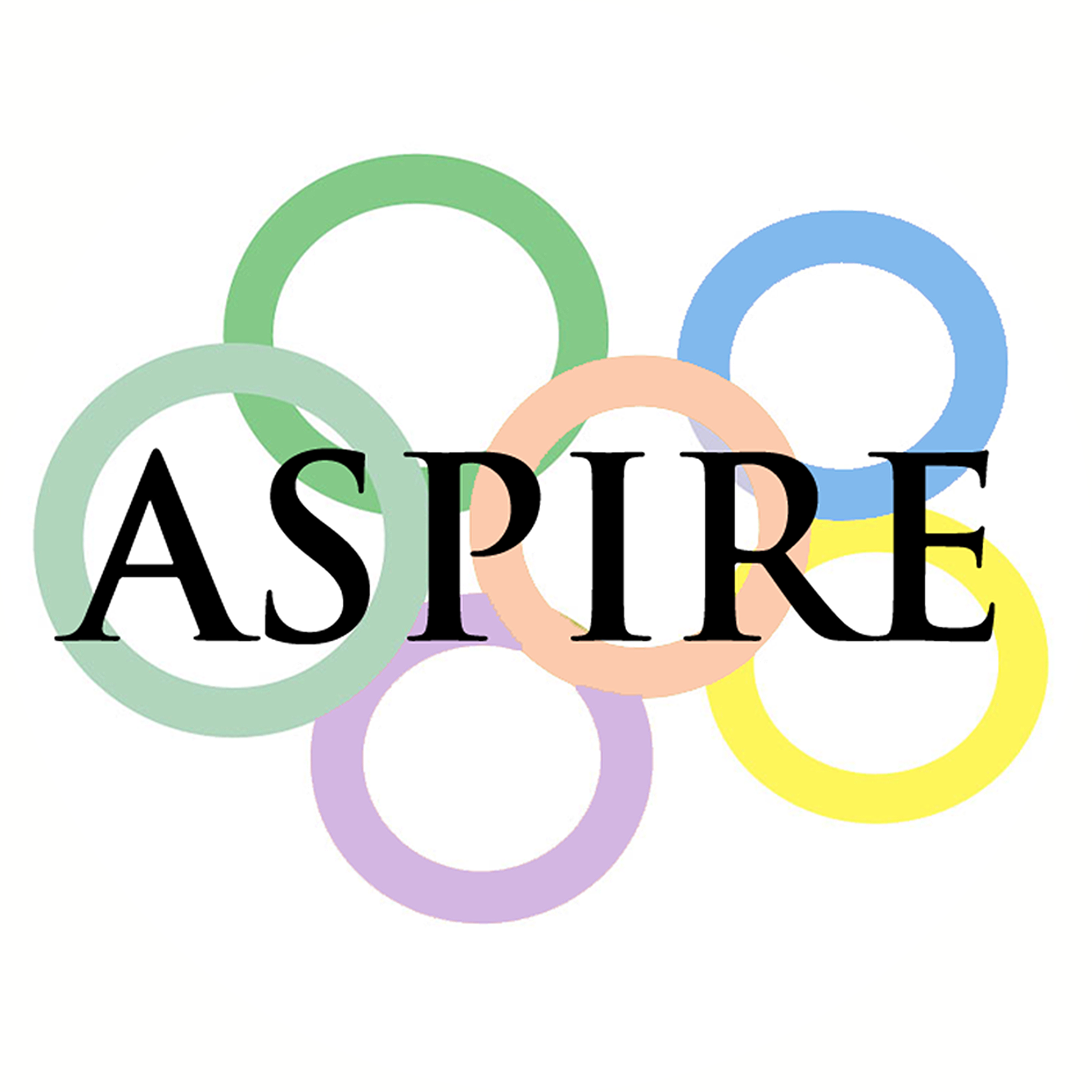Capitalizing on Opportunities: Making the Most of the 2021 ASPIRE ...