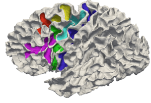 Labeling Lateral Prefrontal Sulci using Spherical Data Augmentation and ...