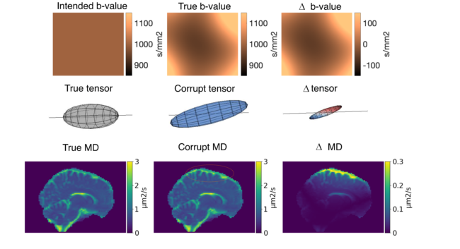 Mapping the impact of non-linear gradient fields on diffusion MRI ...