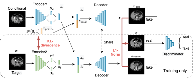 Reducing Positional Variance in Cross-sectional Abdominal CT Slices with Deep Conditional ...