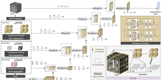 Unest Local Spatial Representation Learning With Hierarchical Transformer For Efficient Medical