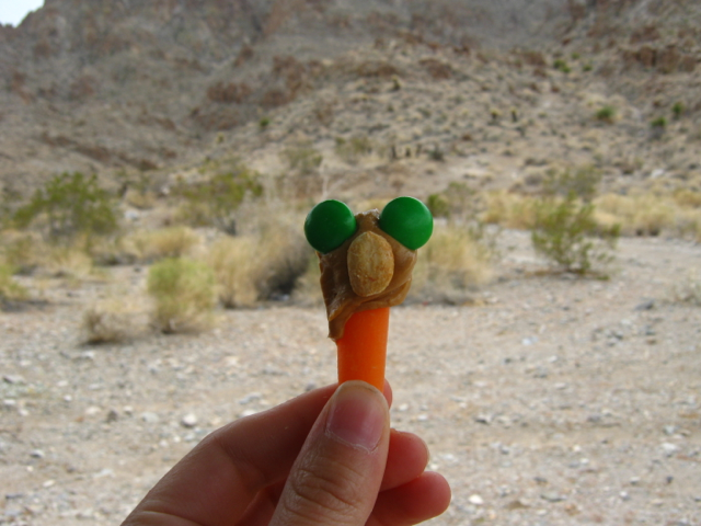 Field snacks | REU: Before and After a Supereruption