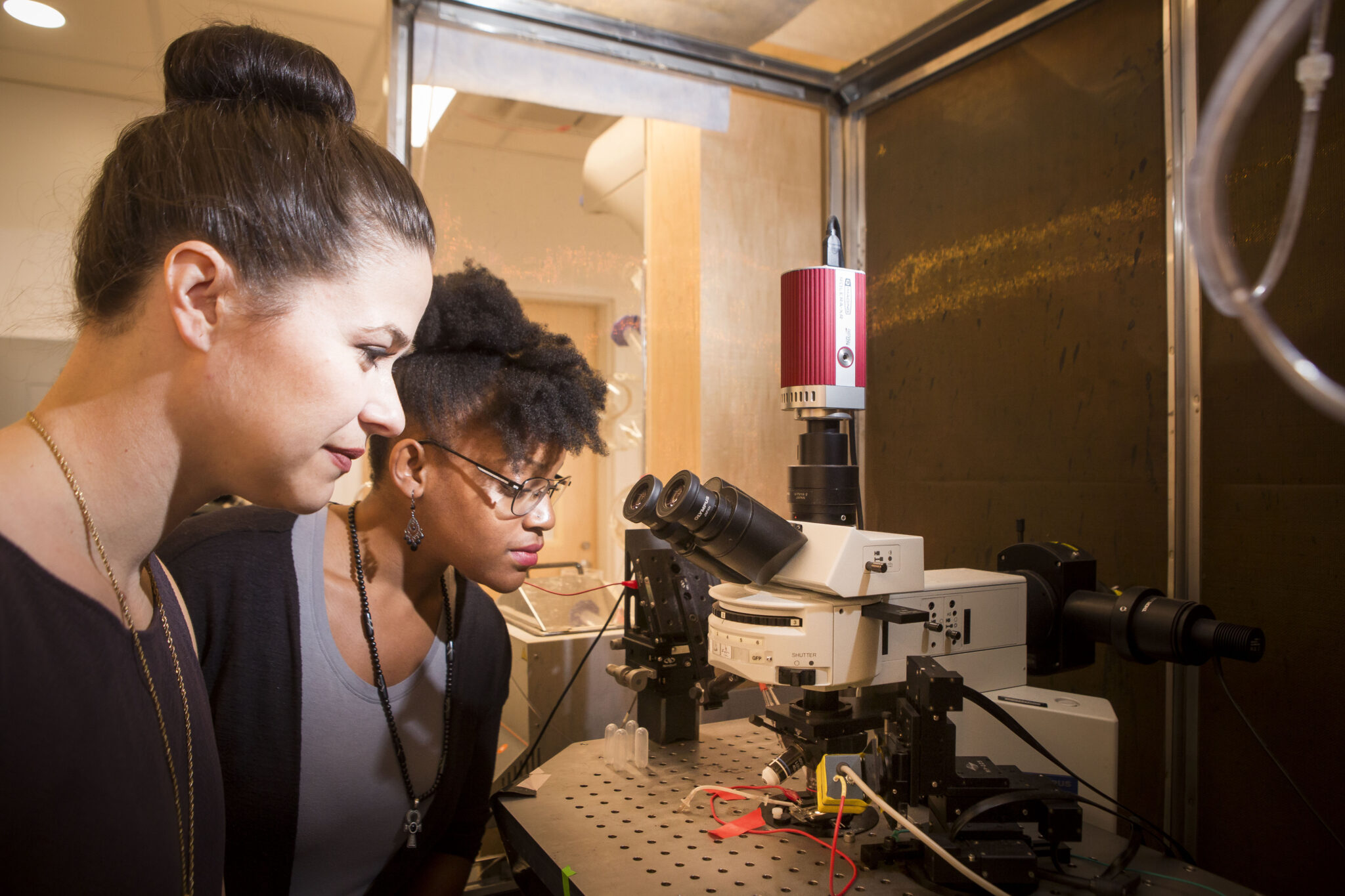 Undergraduate Research Programs | Undergraduate Research | Vanderbilt ...