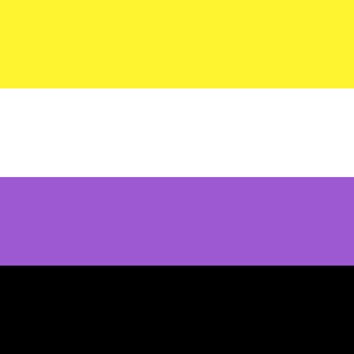 LGBTQI+ Pride Flags | The Office of Lesbian, Gay, Bisexual, Transgender ...