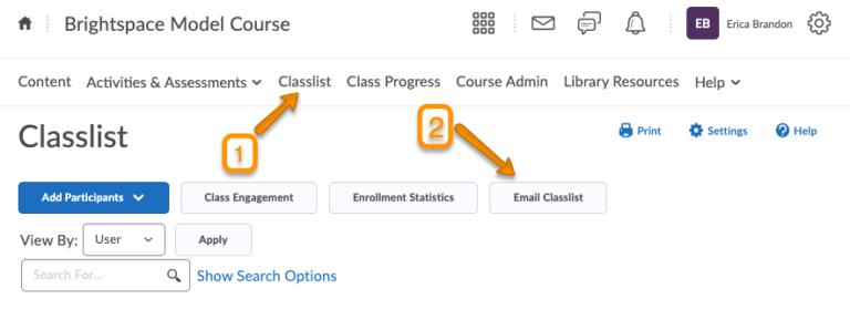 Email the entire class, or individual students | Brightspace Support | Vanderbilt University