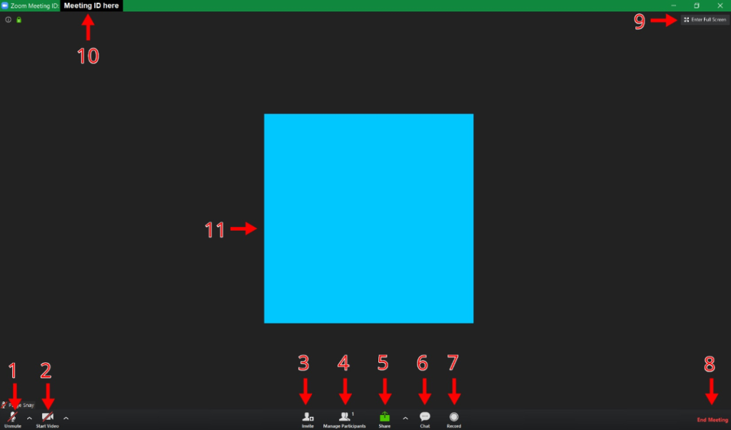 Quick Start to Hosting Zoom Meetings | Brightspace Support | Vanderbilt ...