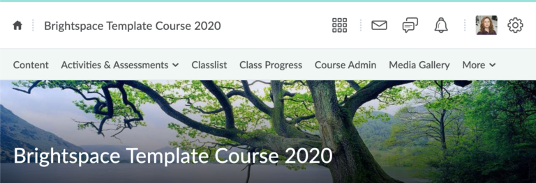 Edit the Brightspace course homepage | Brightspace Support | Vanderbilt University