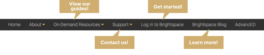 Brightspace Support | Vanderbilt University