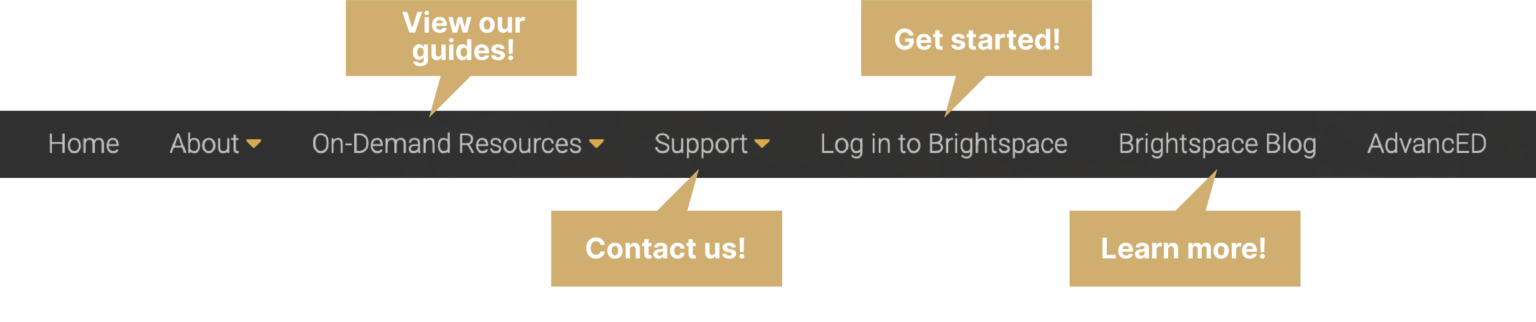 Brightspace Support | Vanderbilt University