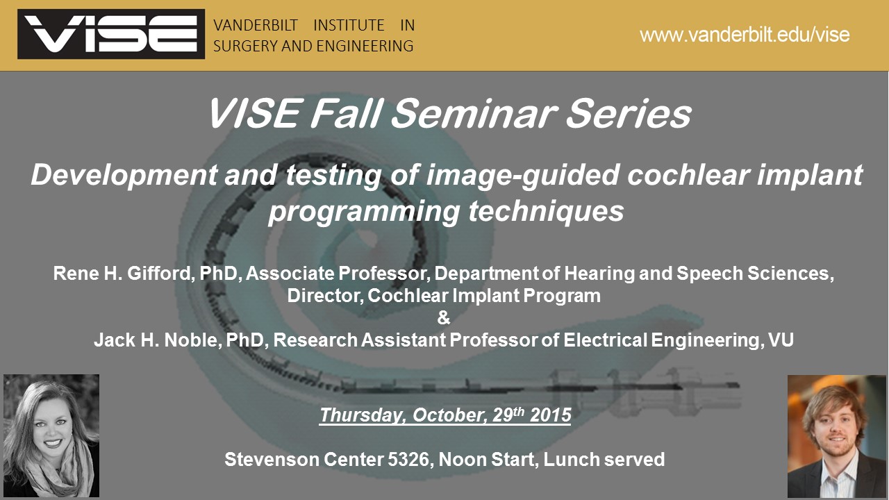 Vise Seminar Development And Testing Of Image Guided Cochlear Implant Programming Techniques