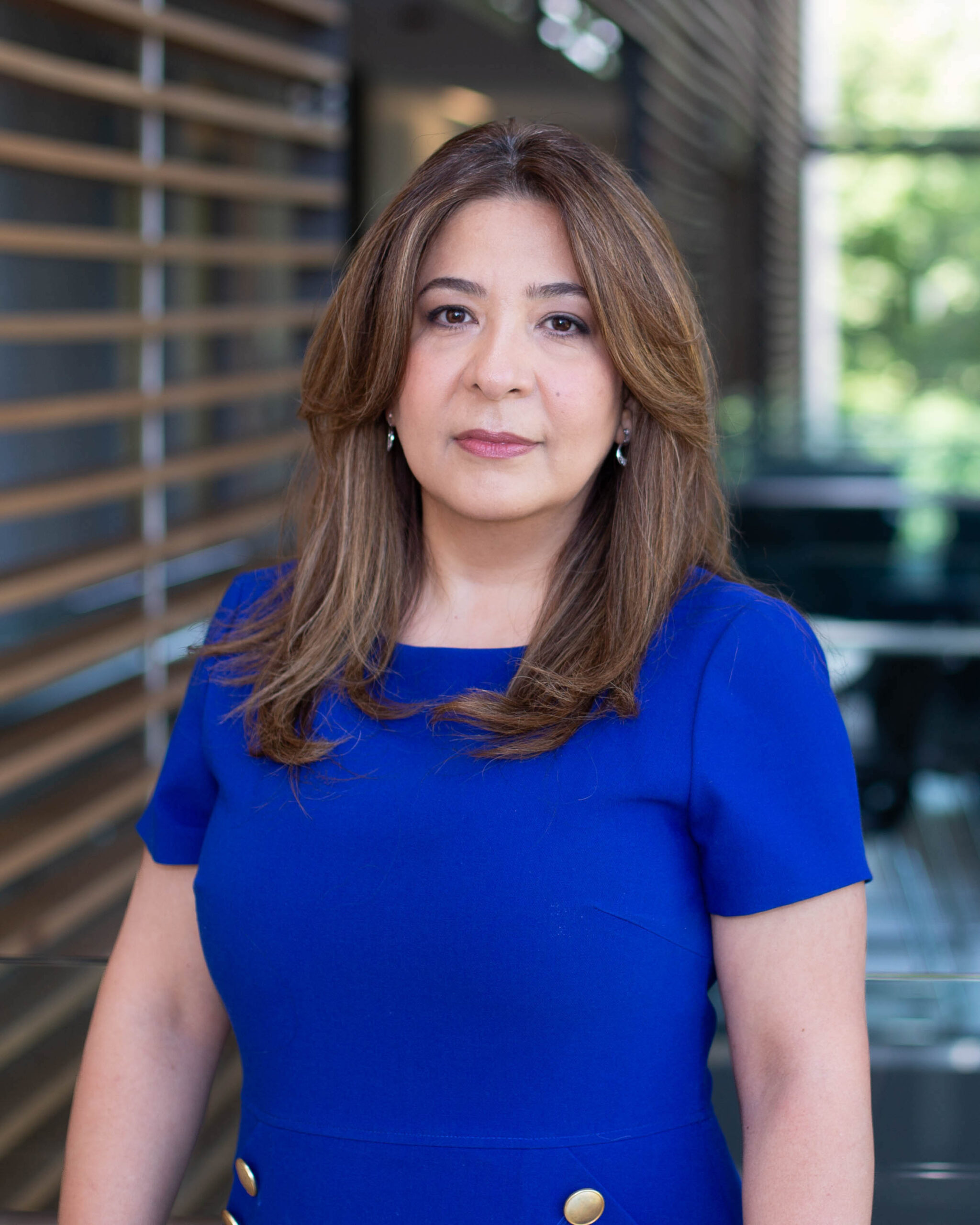 VISE Spring Seminar Parvin Mousavi, PhD 3.30.23 | Vanderbilt Institute ...