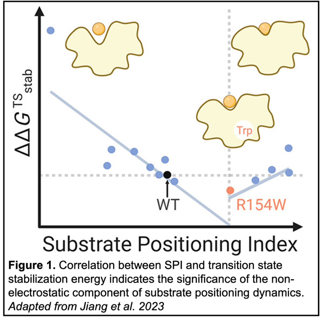 Enzyme substrate positioning dynamics: To be electrostatic or not to be ...