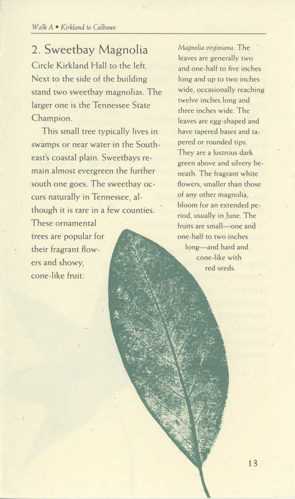 013 | Vanderbilt Arboretum | Vanderbilt University