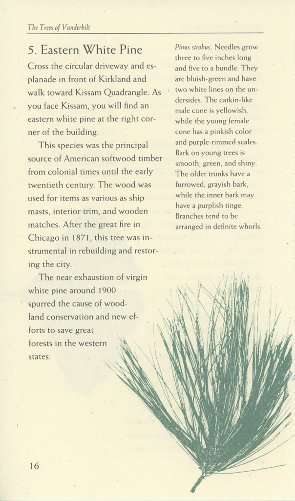 016 | Vanderbilt Arboretum | Vanderbilt University