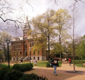 Ghost Trees: The champion September elm | Vanderbilt Arboretum ...