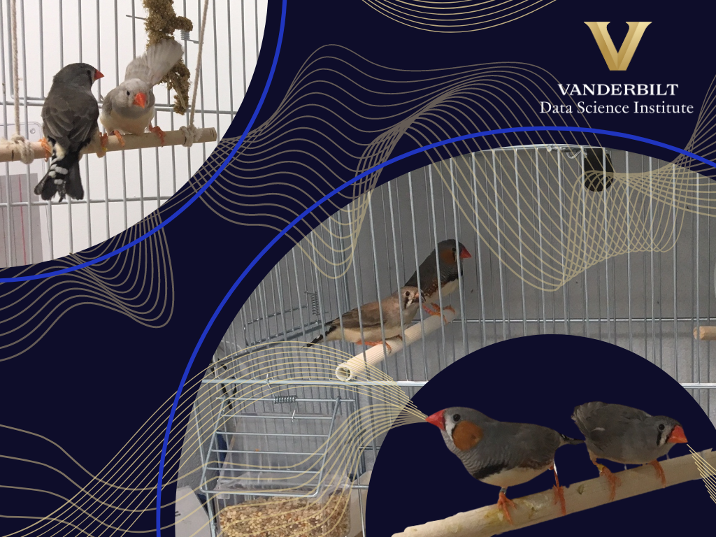 DSI workshop helps Vanderbilt researcher do complex AI analysis of ...