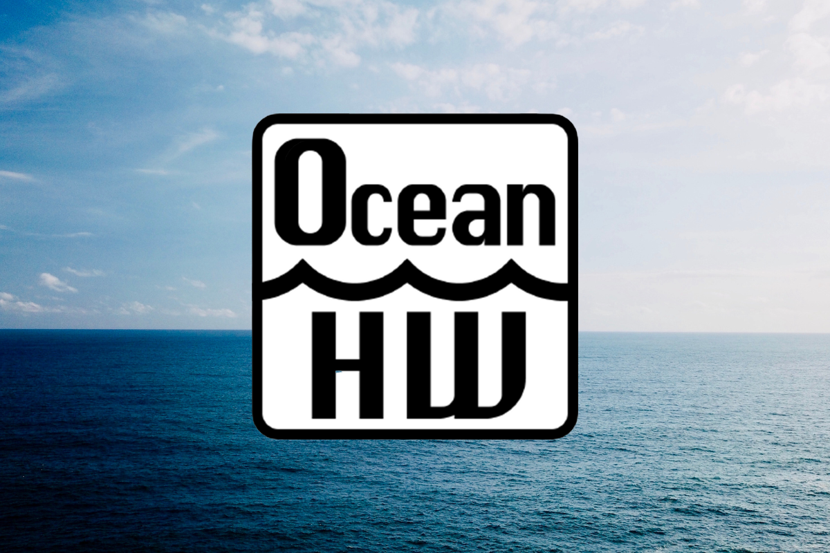 Ocean HackWeek 2023 offers unique data science learning experience in oceanography | Data ...