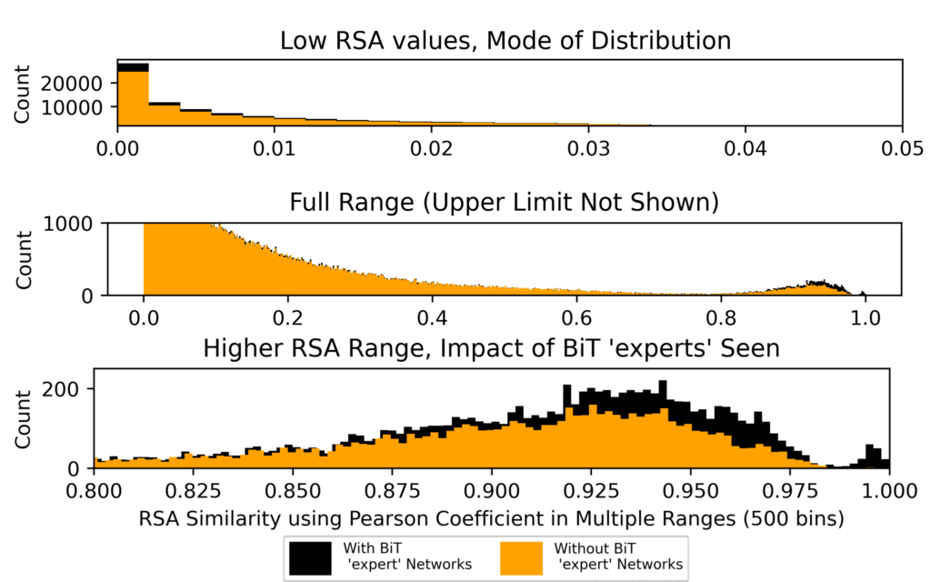 Can Deep Neural Networks Model Variability in Human Visual Cognition ...