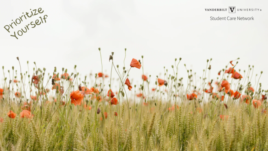 Zoom Backgrounds | Student Care Network | Vanderbilt University