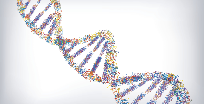 New method reveals how differences in the genetic “instruction booklet ...