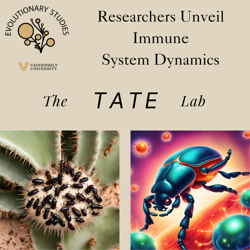 Insect Immune Insights: Researchers Unveil Immune System Dynamics ...