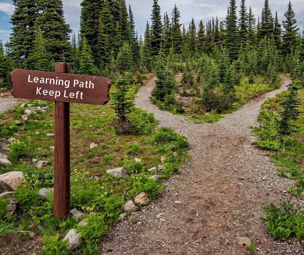 Online Course Module Structure | Online Course Development Resources ...