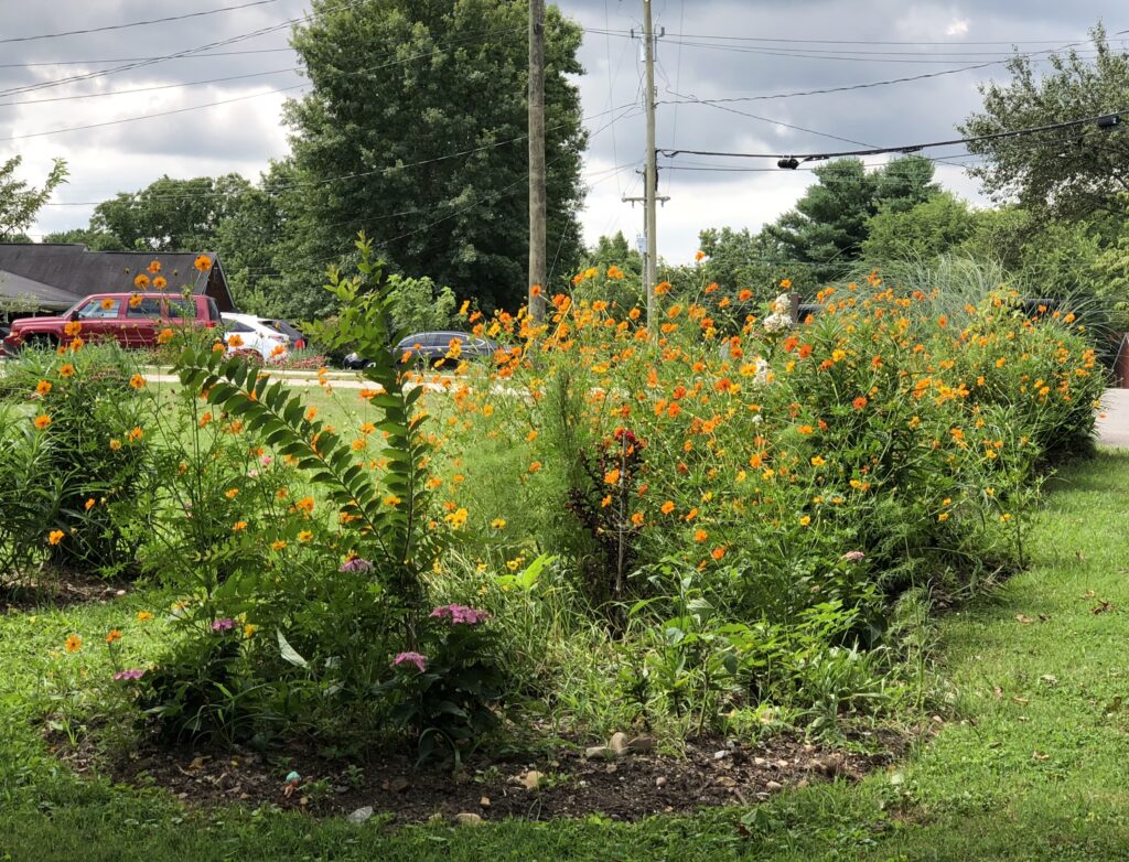 Community Engaged Research Projects | The School for Science and Math ...