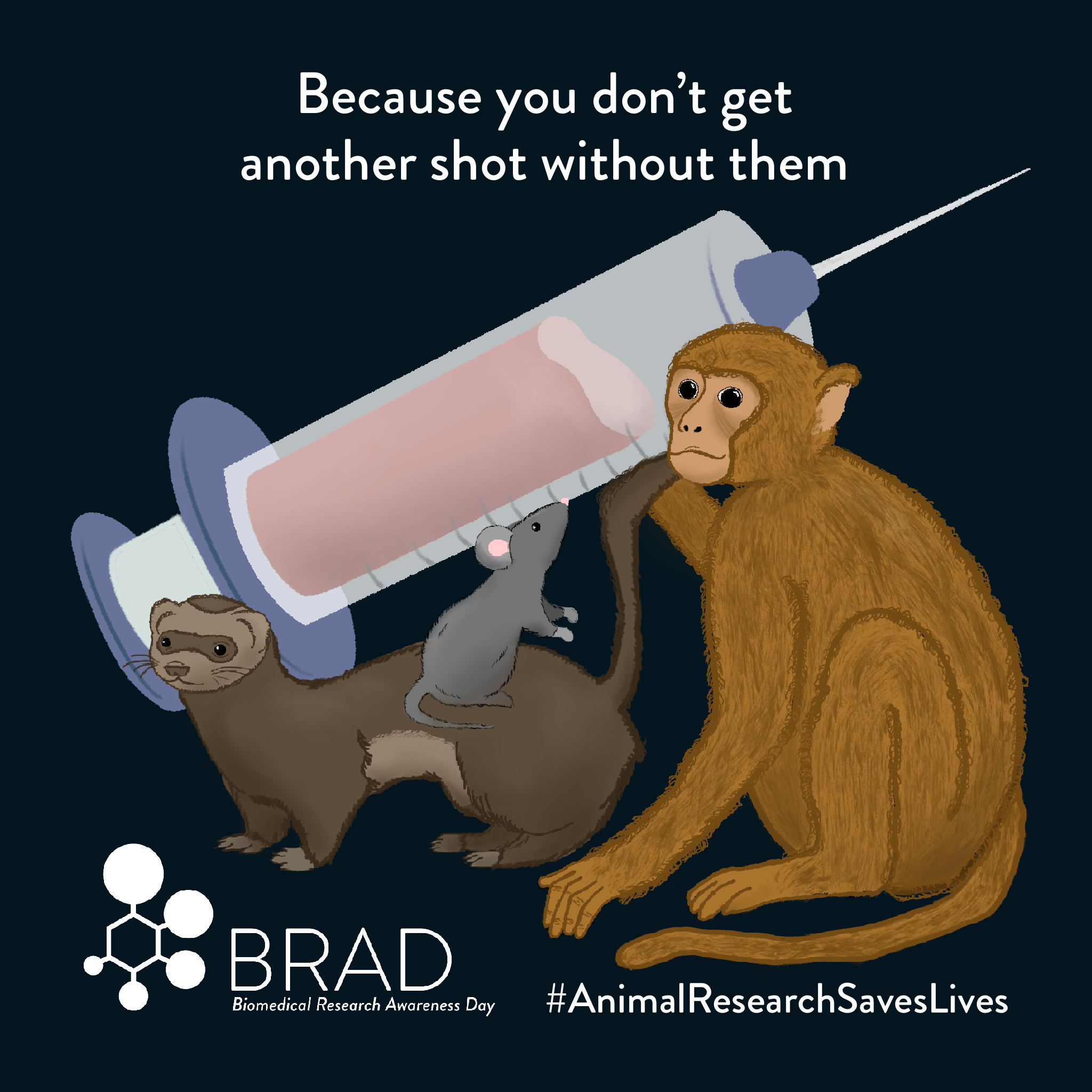 Community Engaged Research Projects | The School for Science and Math ...