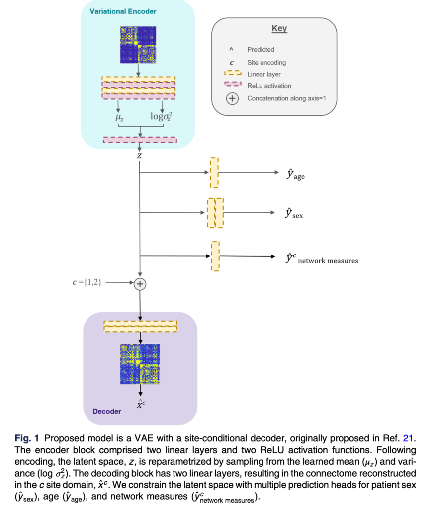 Learning disentangled representations to harmonize connectome network ...