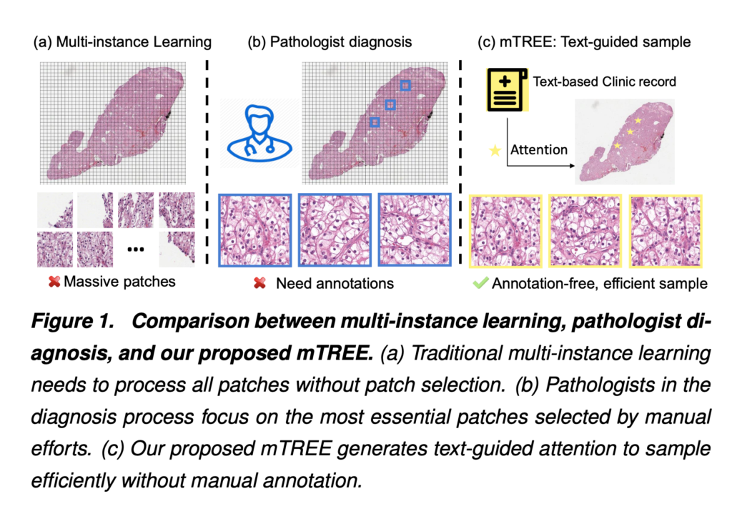 mTREE: Multi-Level Text-Guided Representation End-to-End Learning for Whole Slide Image Analysis ...