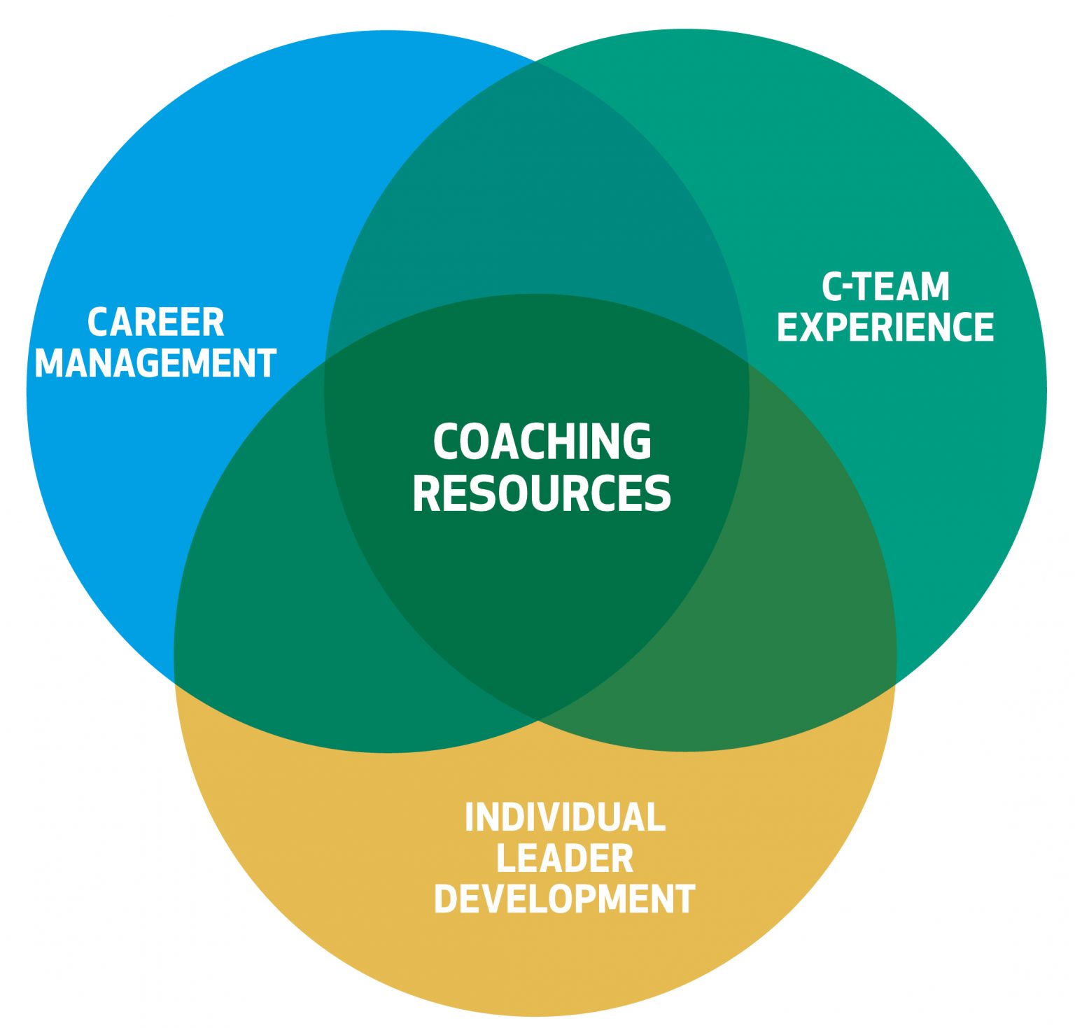 Executive MBA Leadership Development - Vanderbilt Business School