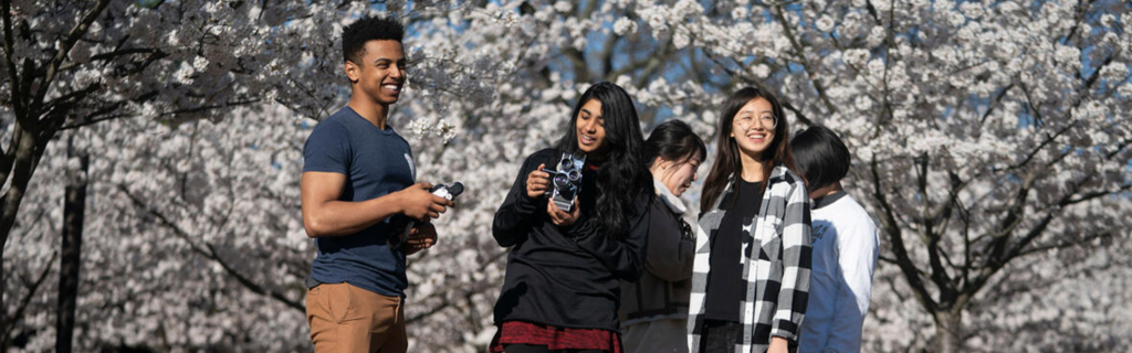 Spring | Department of Physics and Astronomy | Vanderbilt University