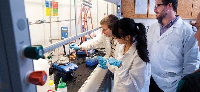 Applying metabolic engineering in combination with current biochemical ...