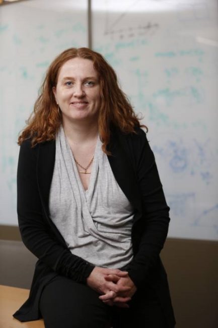 Clare McCabe Elected Fellow of the American Institute of Chemical ...