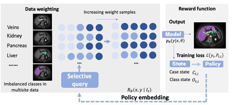 Learning from dispersed manual annotations with an optimized data weighting policy | Medical ...