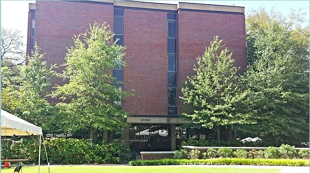 For Parents | Child Studies Group | Vanderbilt University