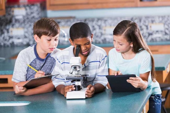 Teacher s Race Affects Gifted Program Selections Vanderbilt University