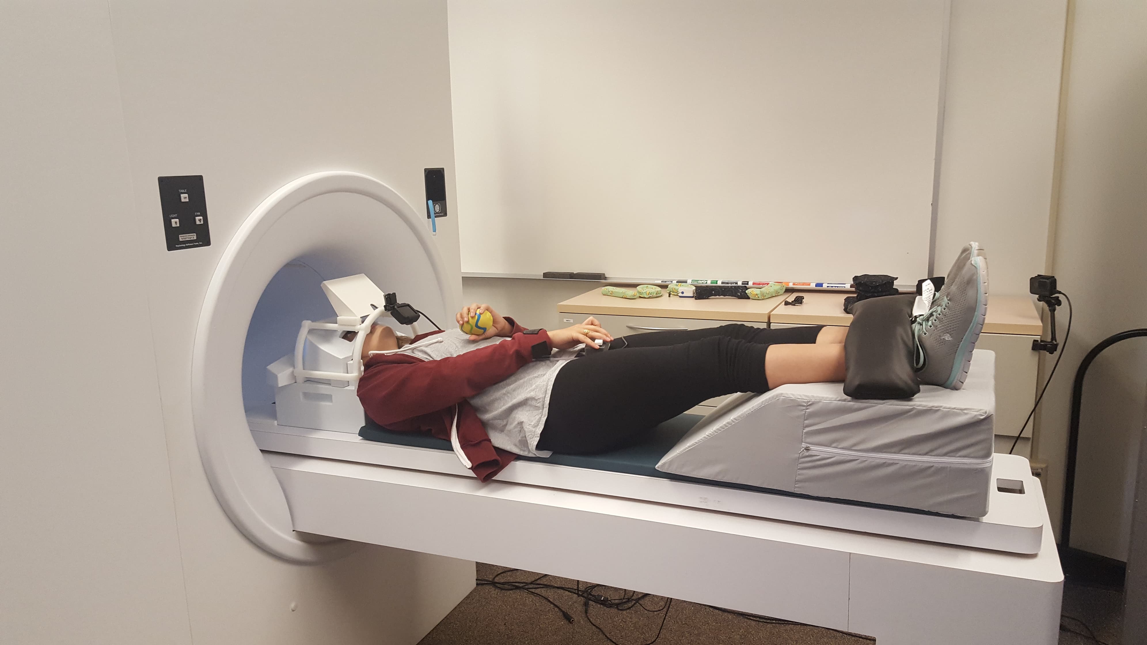 Connecting the Dots: James R. Booth uses fMRI to predict learning ...