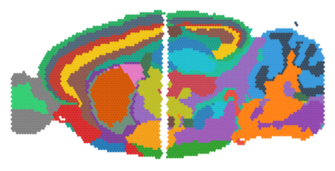 Biomedical Data Science, AI, and Modeling | School of Engineering ...
