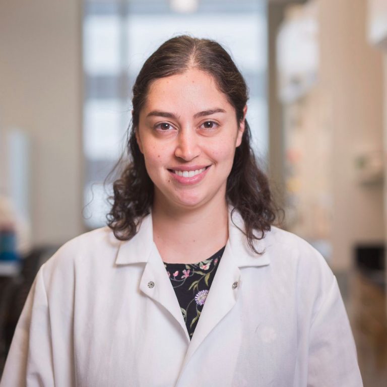 Ultrasound imaging of breast cancer tumors offers non-invasive ...