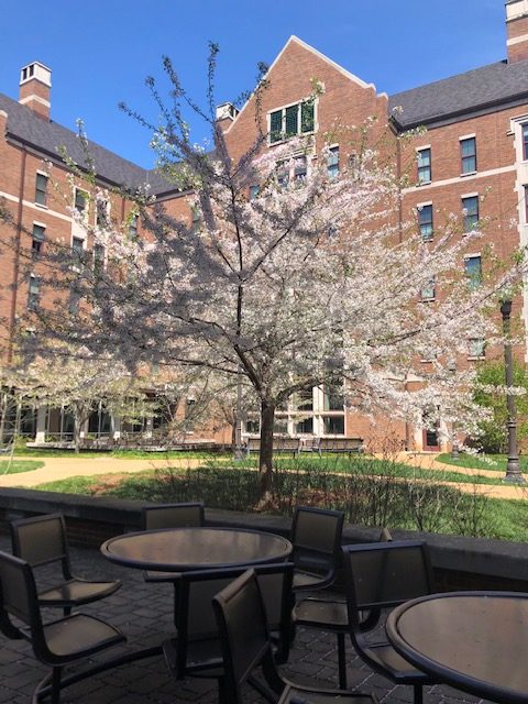 My Summer Plans | Inside 'Dores | Vanderbilt University