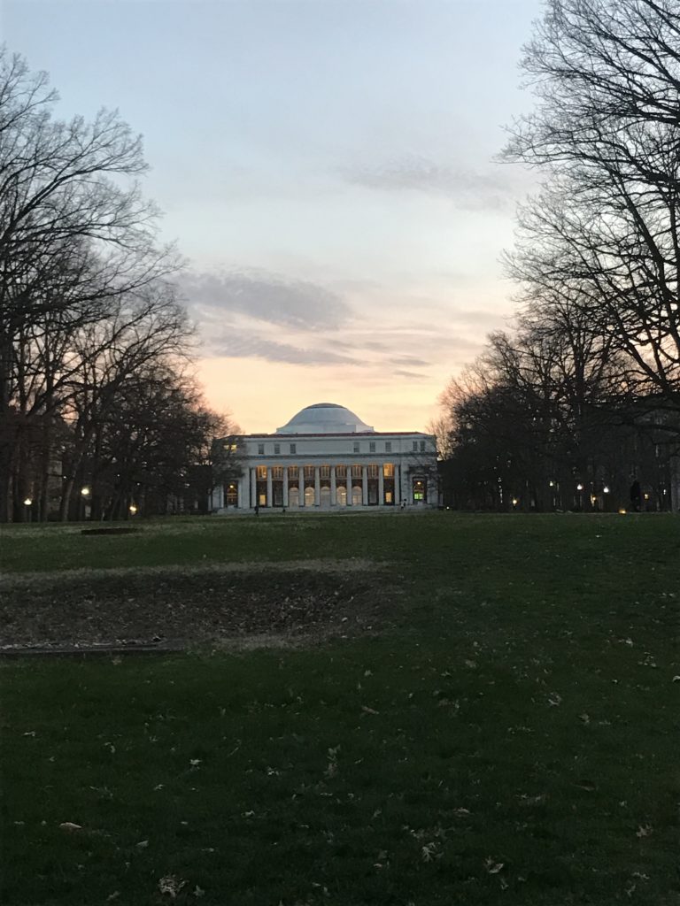 Spring Time = Squirrel Time | Inside 'Dores | Vanderbilt University