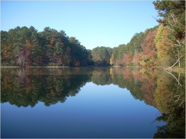 Open Lake image | Inside 'Dores | Vanderbilt University